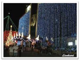 SULONG MANDALUYONG. The Tiger City at it's best: Ang Lungsod ng Mandaluyong