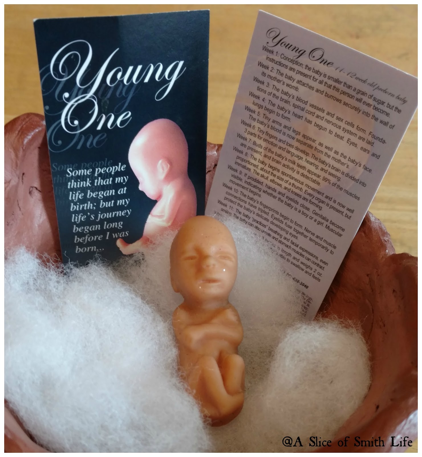 A Slice of Smith Life: September 2016