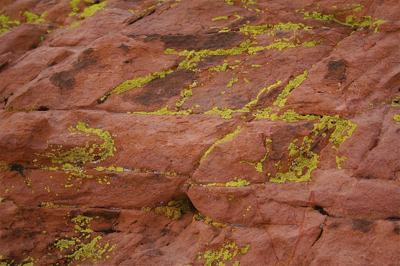 Wildfilm: Keystone Thrust Fault