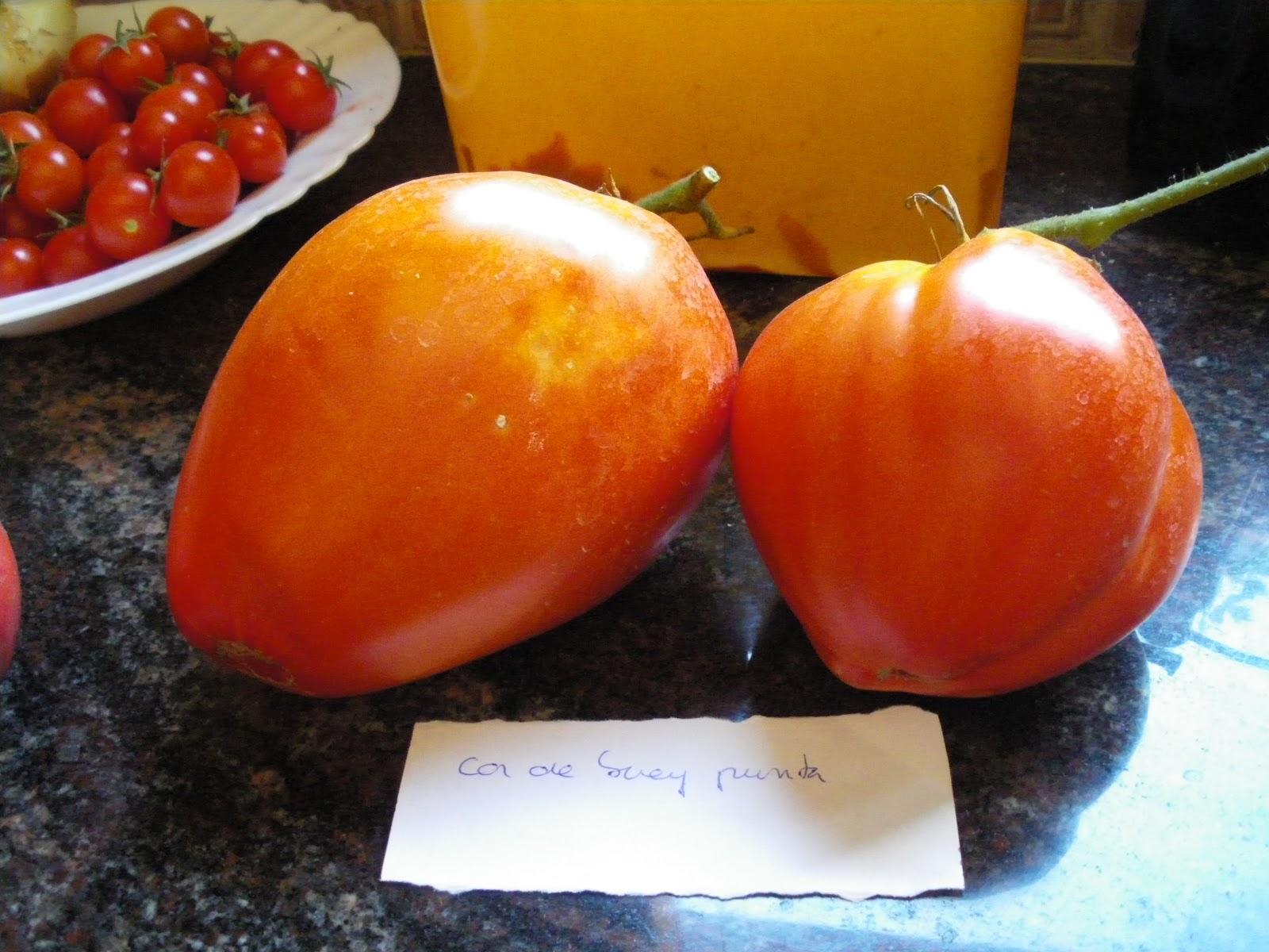 Huerto: Tomates 2012