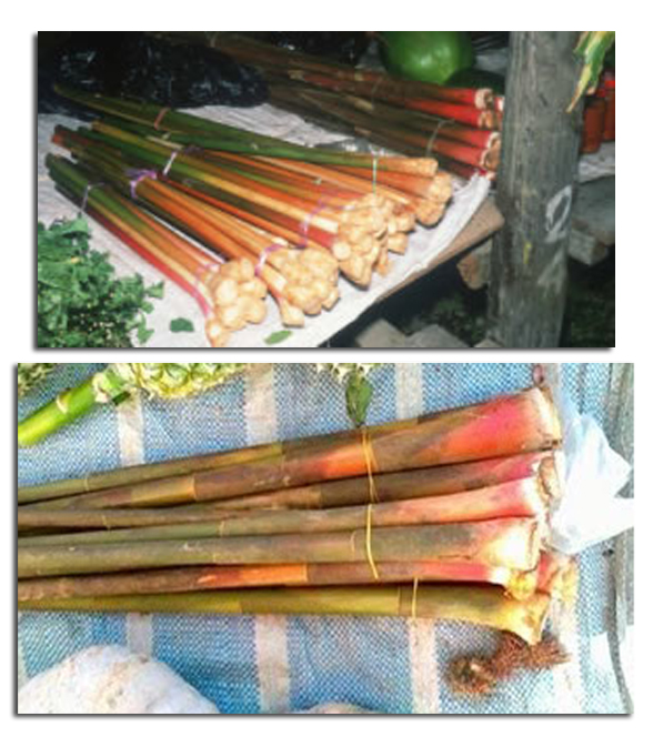 Snow Kitchen: Jeruk Tuhau (disarawak dikenali sebagai tepus )