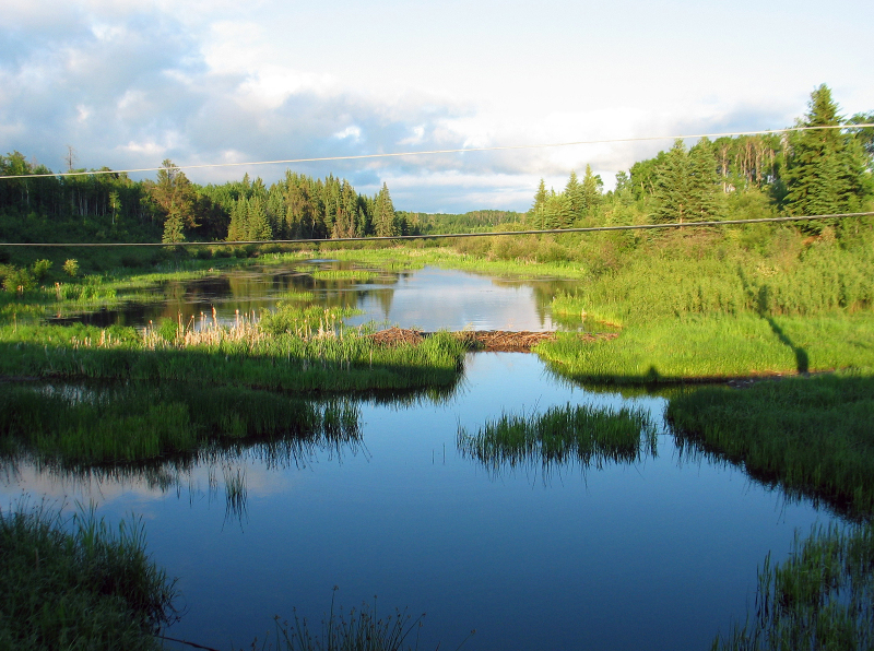 All photos gallery: Natural scene image, natural scene images, natural ...