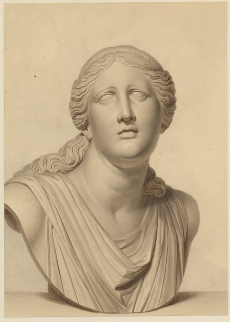 Spencer Alley: Niobe