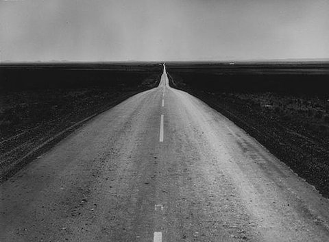 sun baking & love making