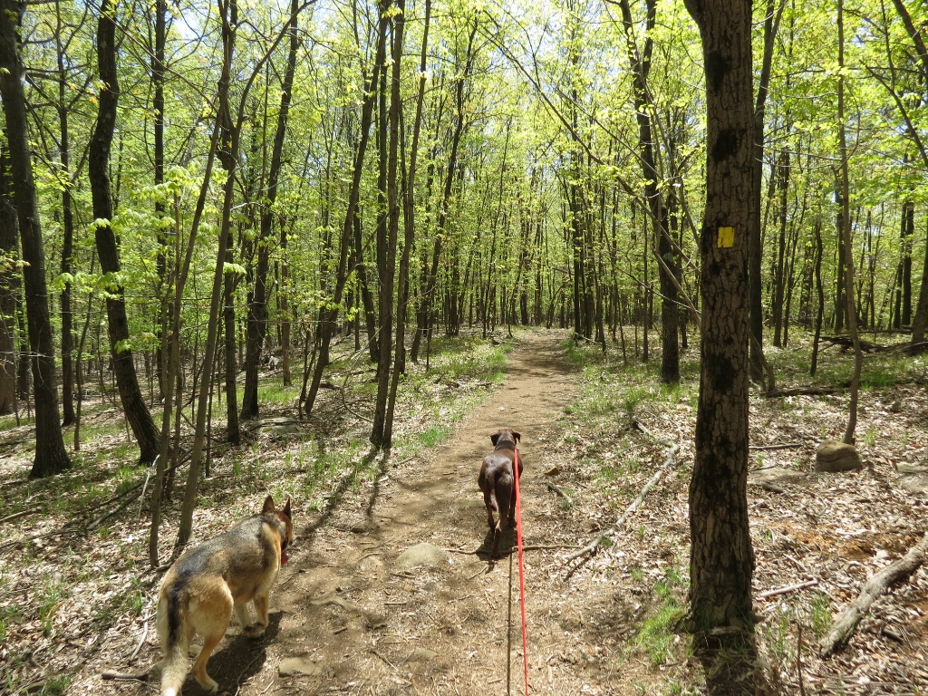 Gone Hikin': High Mountain Park Preserve, NJ - Eastern Section