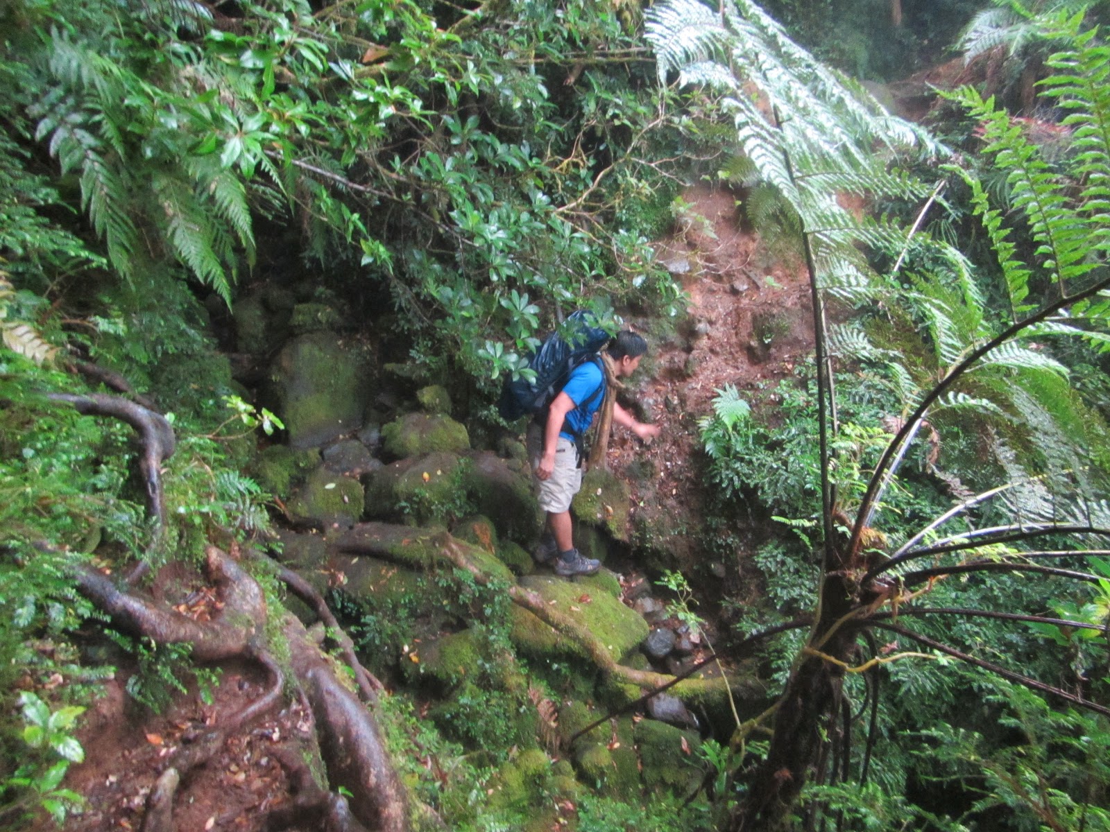 LEXICAL CROWN: MOUNT KANLAON CLIMB (GUINTUBDAN-GUINTUBDAN TRAIL)