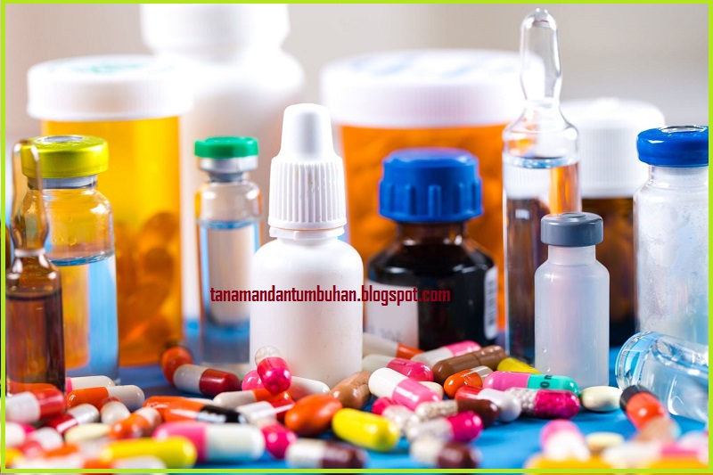 Obat Mual Muntah Anak Di Apotik - Perumperindo.co.id