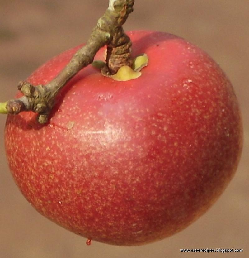 Ezee Recipes: Sol Kadhi (Sherbet)
