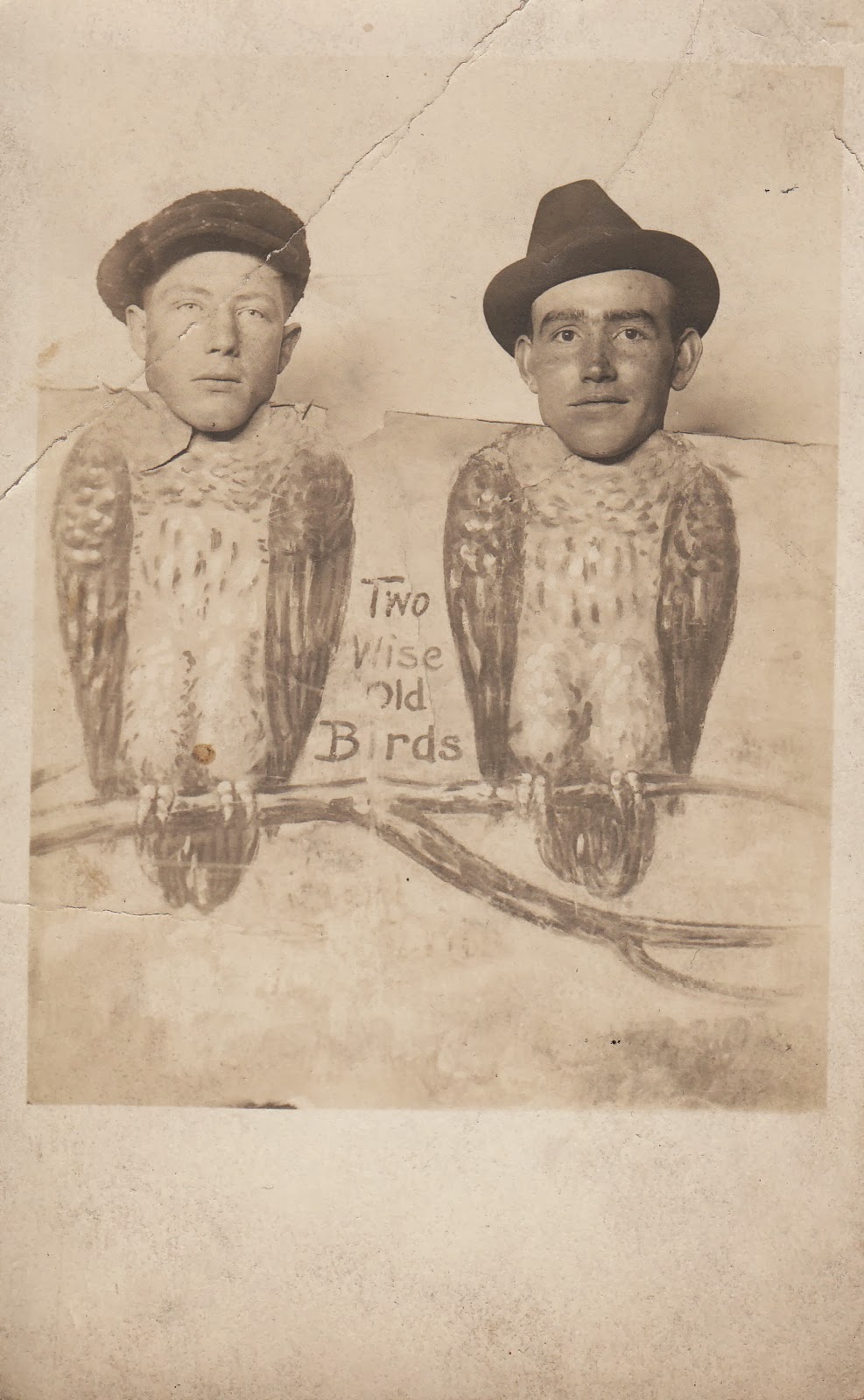 Dull Tool Dim Bulb: Two Wise Old Birds Comic Foreground Real Photo ...