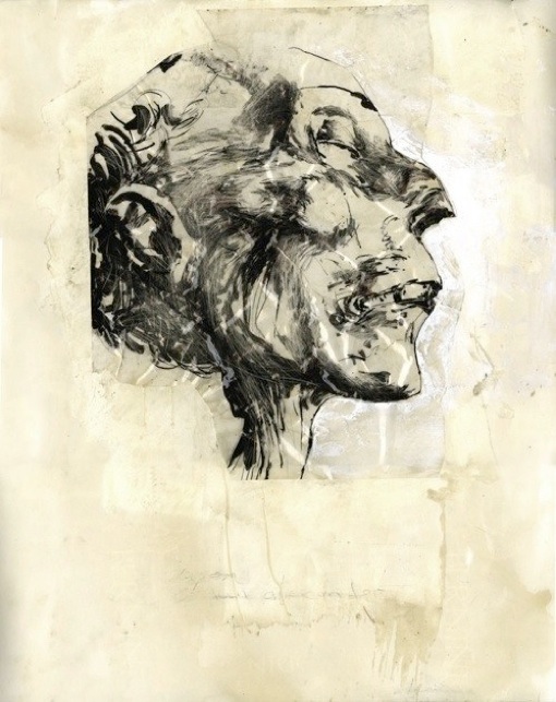 VIVENCIAS PLÁSTICAS: JASON SHAW ALEXANDER (1975) / ¿CUÁL ES LA BASE DE ...