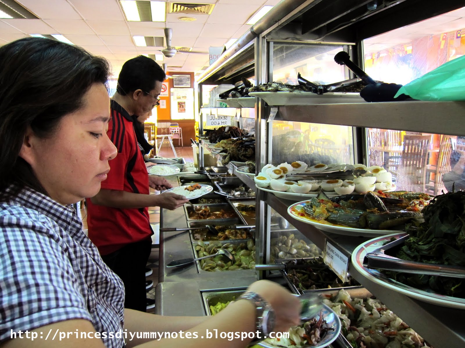 Princess Di's Yummy Notes: Nasi Ayam Kampung @Restoran A. Hassan ...