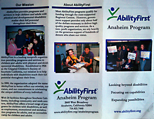 Li'l Resource Blog: Ability First