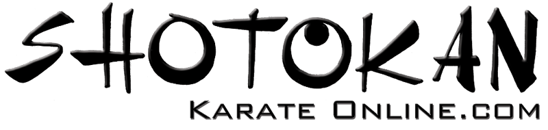 shotokankarateonline: Gyaku-Zuki or Reverse Punch Shotokan Karate Tutorial