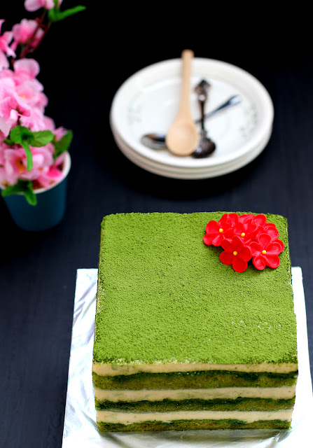 Matcha tiramisu cake