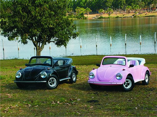 Authentic Mix: Mini Fusca - Uberlândia/MG