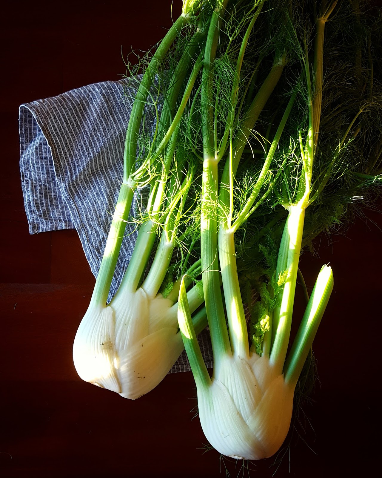 Mango & Tomato: What To Do With Fennel: Pickle It! Cheater Pickled ...