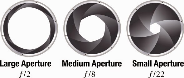What’s in the Frame: Cinematography and Production Design ...