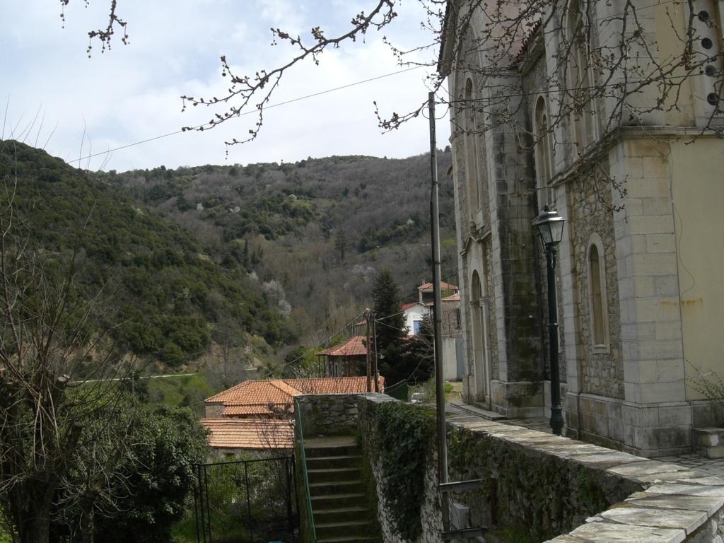 ΒΑΜΒΑΚΟΥ ΠΑΡΝΩΝΑΣ - ένα με την φύση: ΔΕΙΤΕ ΦΩΤΟΓΡΑΦΙΕΣ ΑΠΟ ΤΗΝ ΒΑΜΒΑΚΟΥ