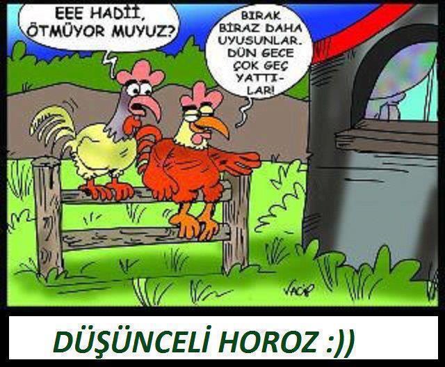 FACEBOOK KAPAK RESİMLERİ,KOMİK RESİMLER - Kapak Fotoğrafları