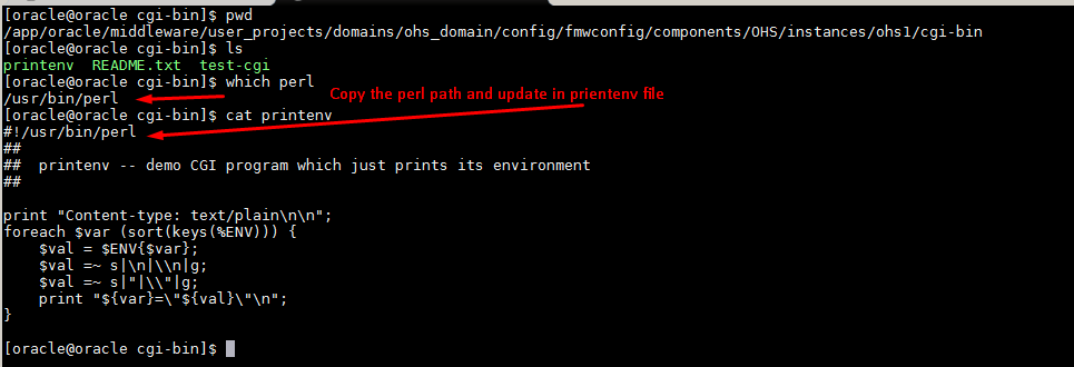 Cloud and Mobile Security: How to enable the /cgi-bin/printenv in OAM?