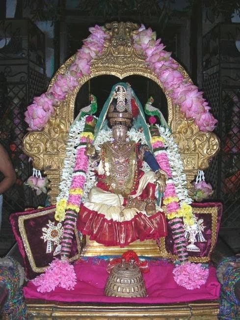 THIRUVALLUR Sri VEERARAGHAVA Perumal Pagal Paththu satrumarai MOHINI ...