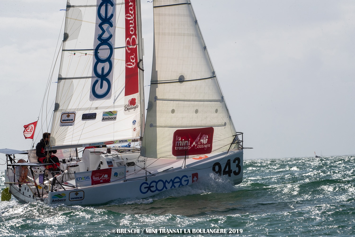 La Mini Transat patiente à La Rochelle, focus sur la flotte Serie et ...