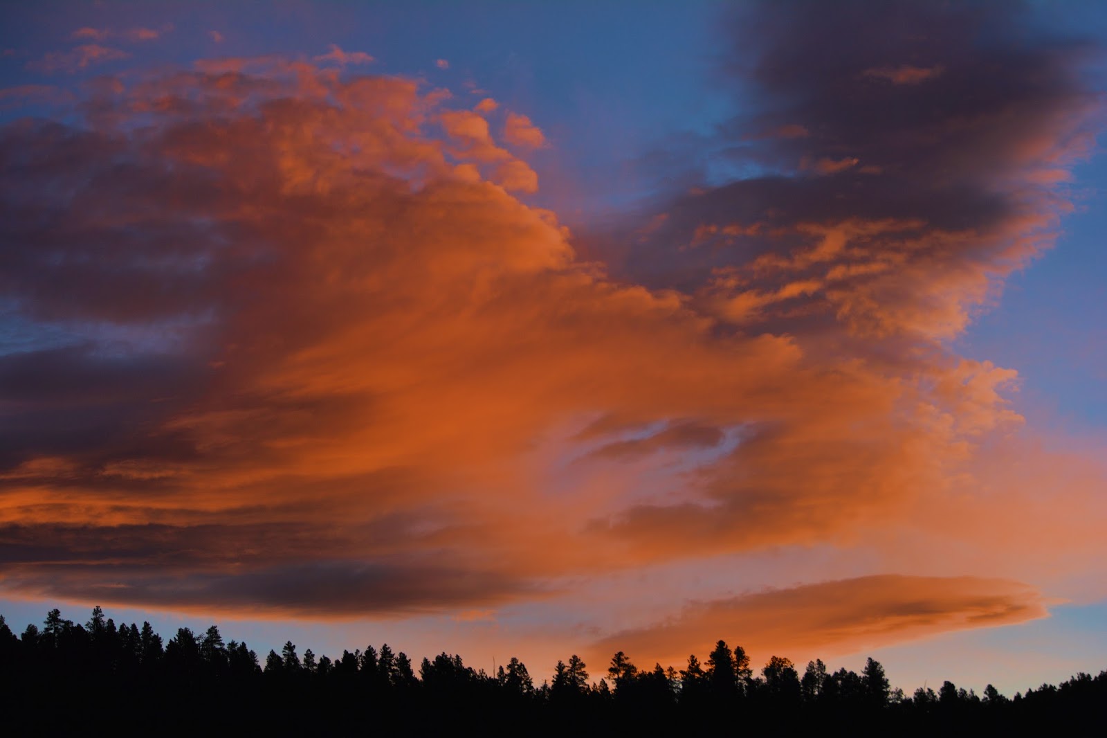 Creative Journey: Week 30 - 2016 in Photographs