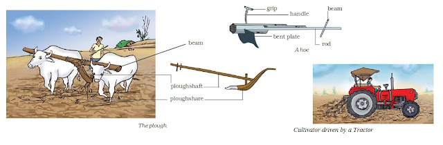 Crop Production And Management