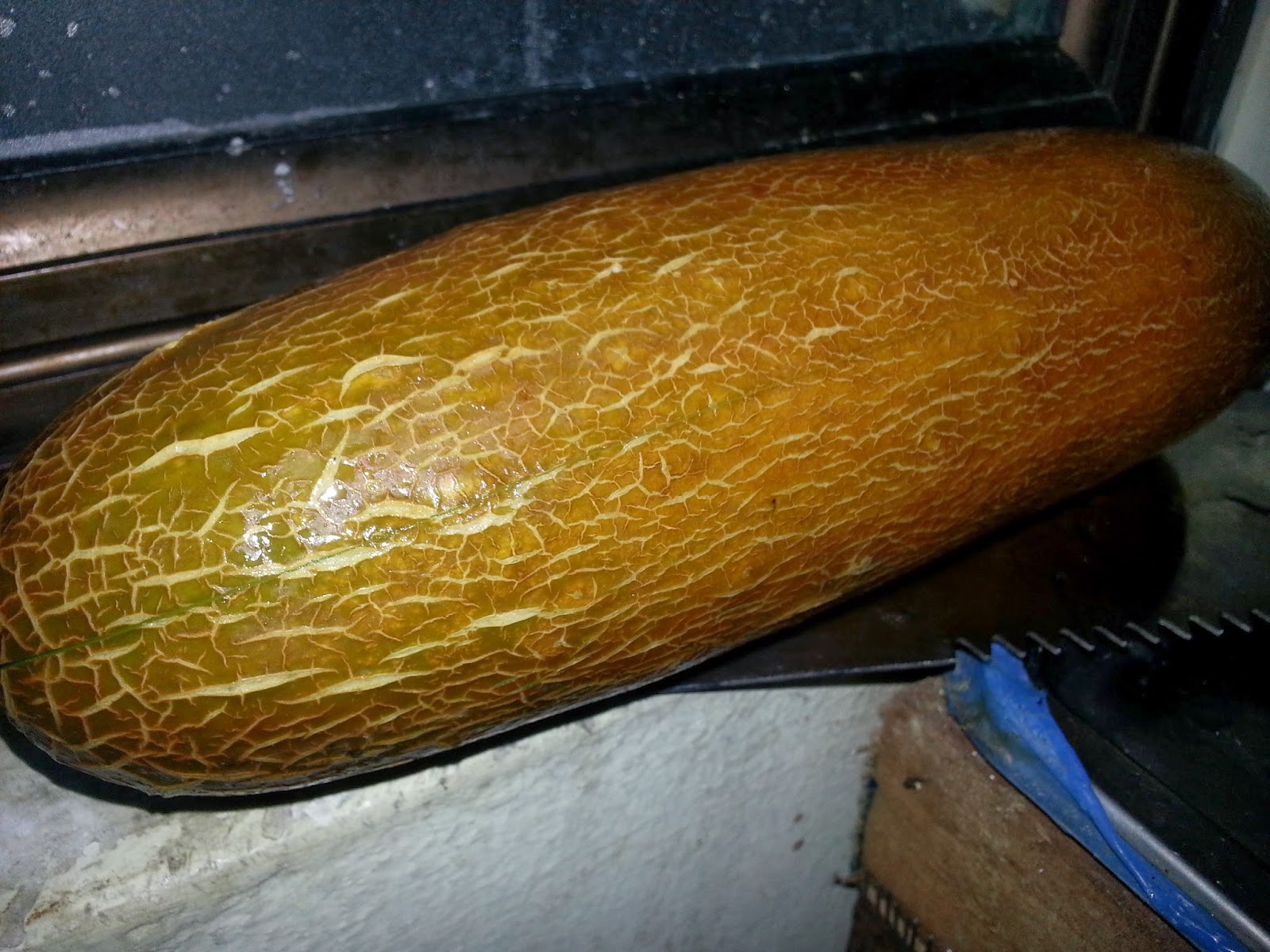 Kerabu Timun Tua ~ Resepi Ayah ~ Alizareesya Punya Cerita