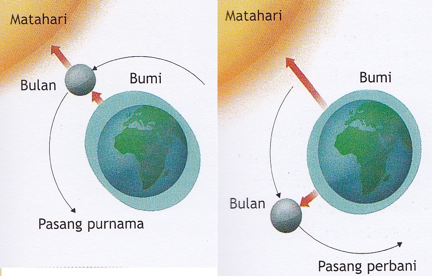 Pergerakan Bumi Dalam Sistem Suria: KESAN PUTARAN BUMI