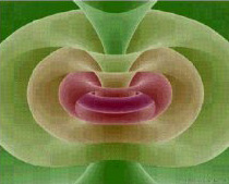 A Simple Explanation of Absolutely Everything: Toroidal Symmetries and ...