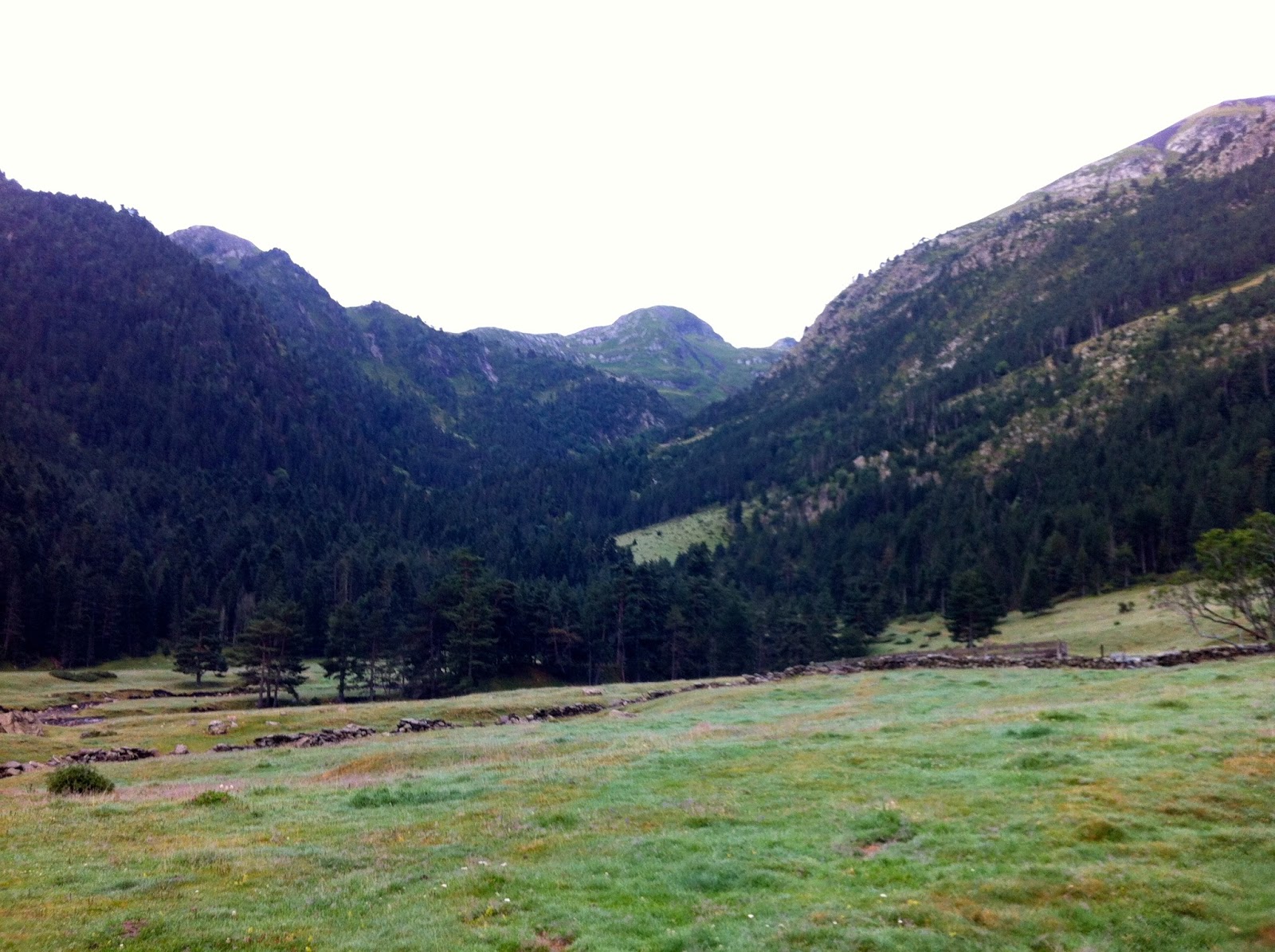 Haute Randonnée Pyrénéenne (HRP): Hospice du Rioumajou – cabane de Añes ...