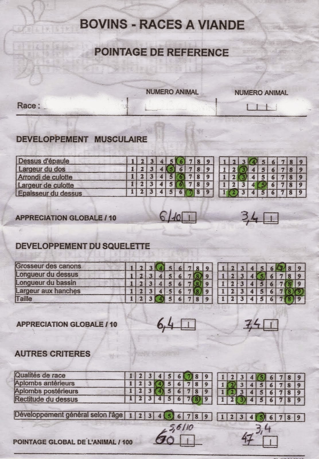 TNLA 2015: Quatre choignards s'en vont en limousine au salon: Le pointage
