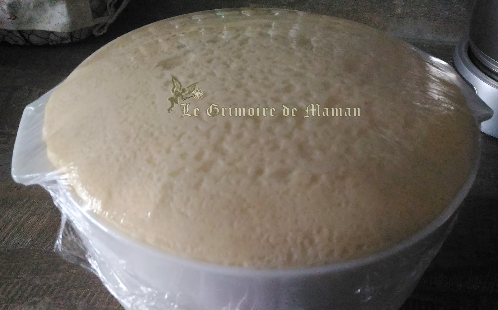 Véritable Gâche Vendéenne