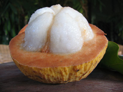 Ang Alamat ng Santol - The Filipino Rambler