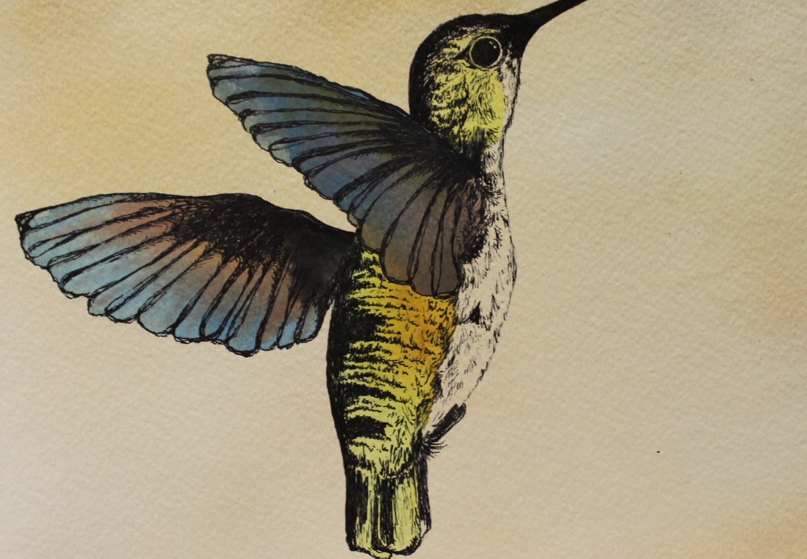 arcane details: bird paintings