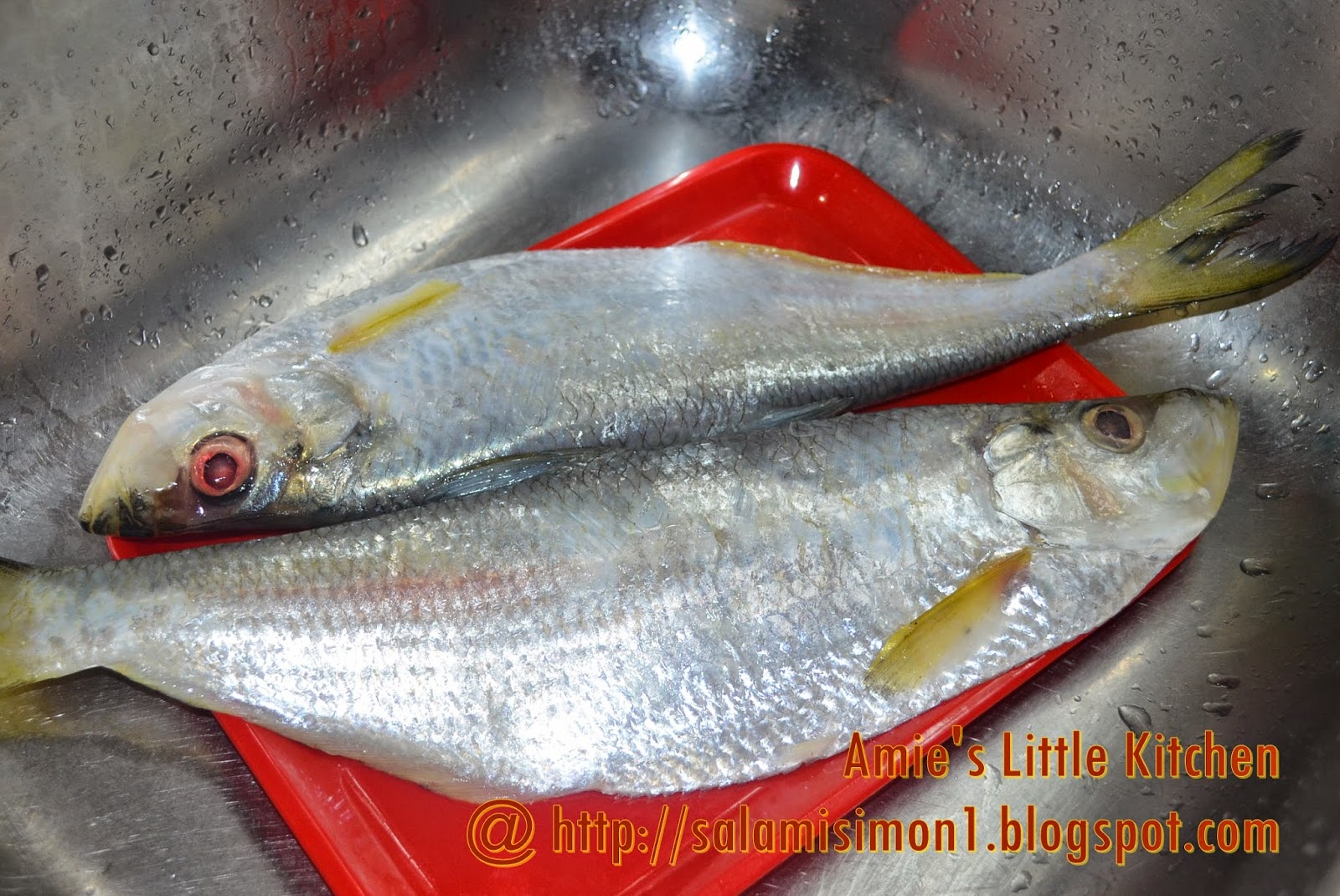 AMIE'S LITTLE KITCHEN: Ikan Puput @ Beliak Mata Goreng Istimewa