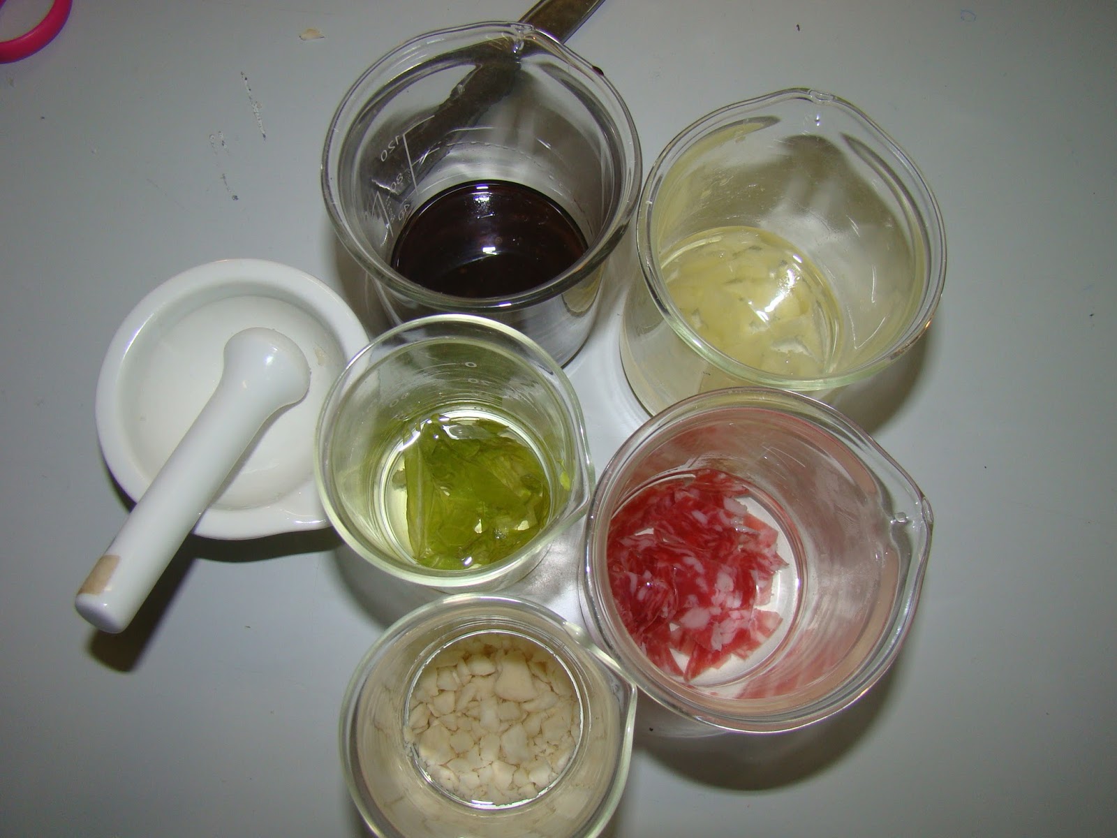 Science Magazine: TESTING FOODS FOR STARCH AND LIPIDS BY MARIA CORDERO