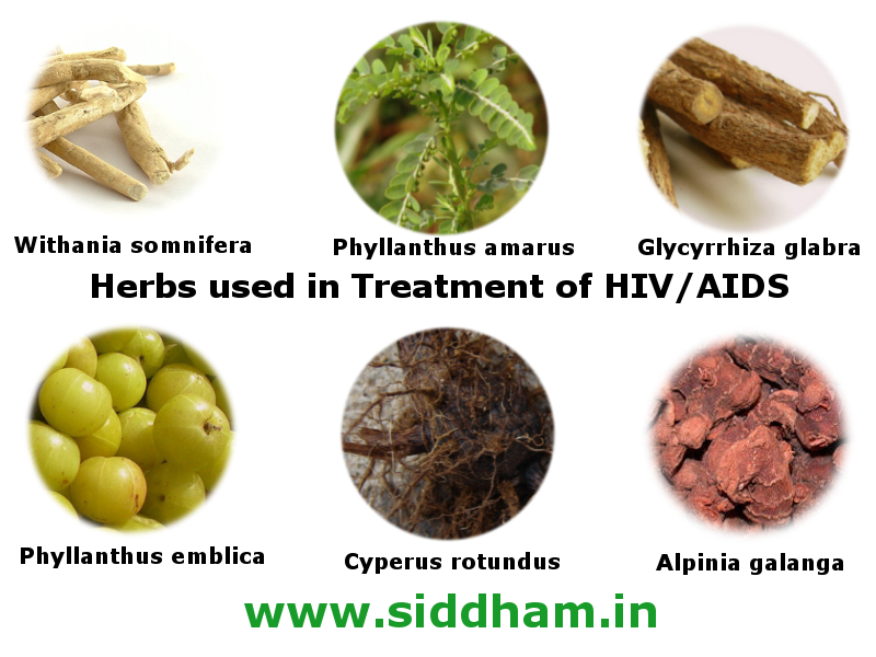 Management Of HIV/AIDS - Hiv Medicines - Medicine Information Center