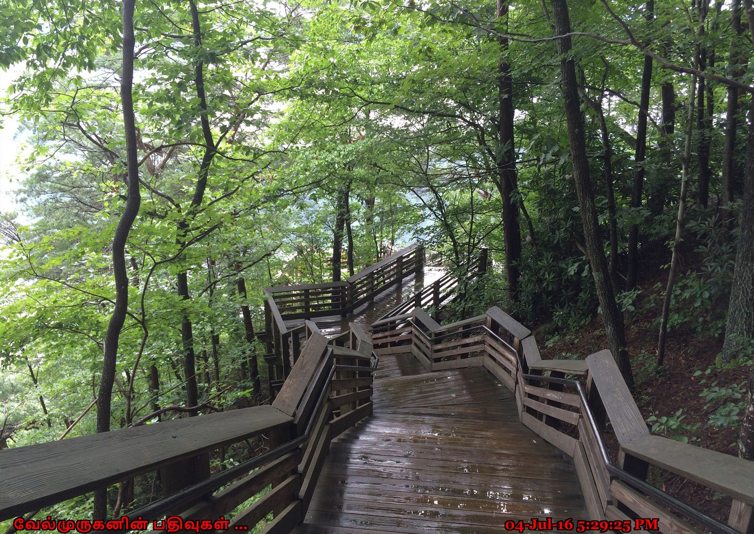 New River Gorge Bridge WV - Exploring My Life