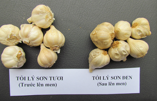 Tỏi đen là gì và những sản phẩm làm từ tỏi đen | Cách sử dụng tỏi đen ...