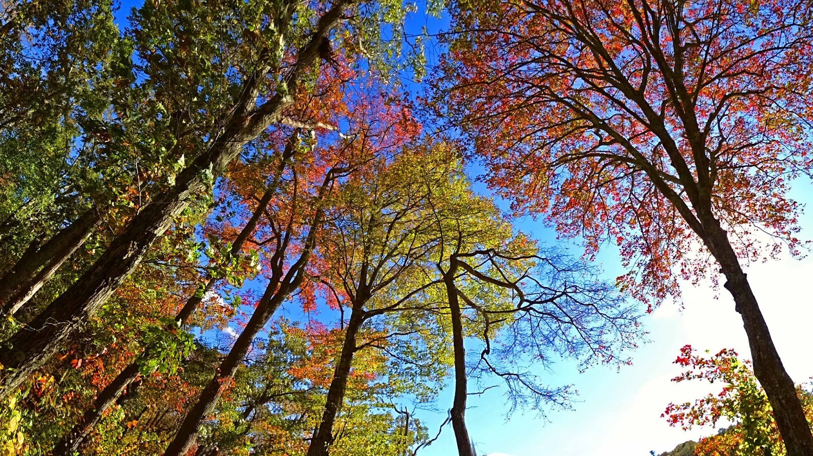 Joe's Retirement Blog: Rabbit Pond, Manomet, Plymouth, Massachusetts, USA