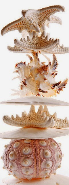 C.B.I.D. HOME DECOR and DESIGN: THE BEAUTY OF NATURAL THINGS