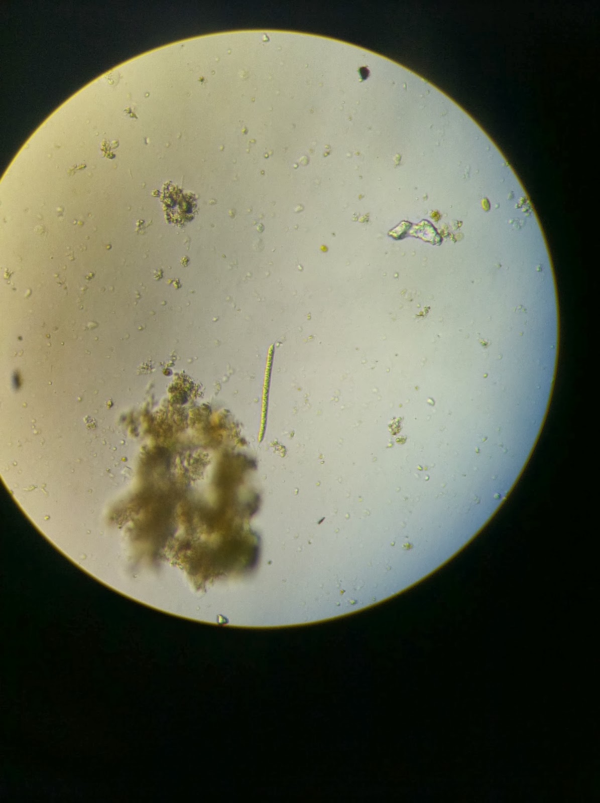 JCU Aquatic Resources : Old Woman Creek