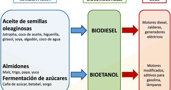 ElectroSol: Bioenergia - Tipos de Biocombustibles