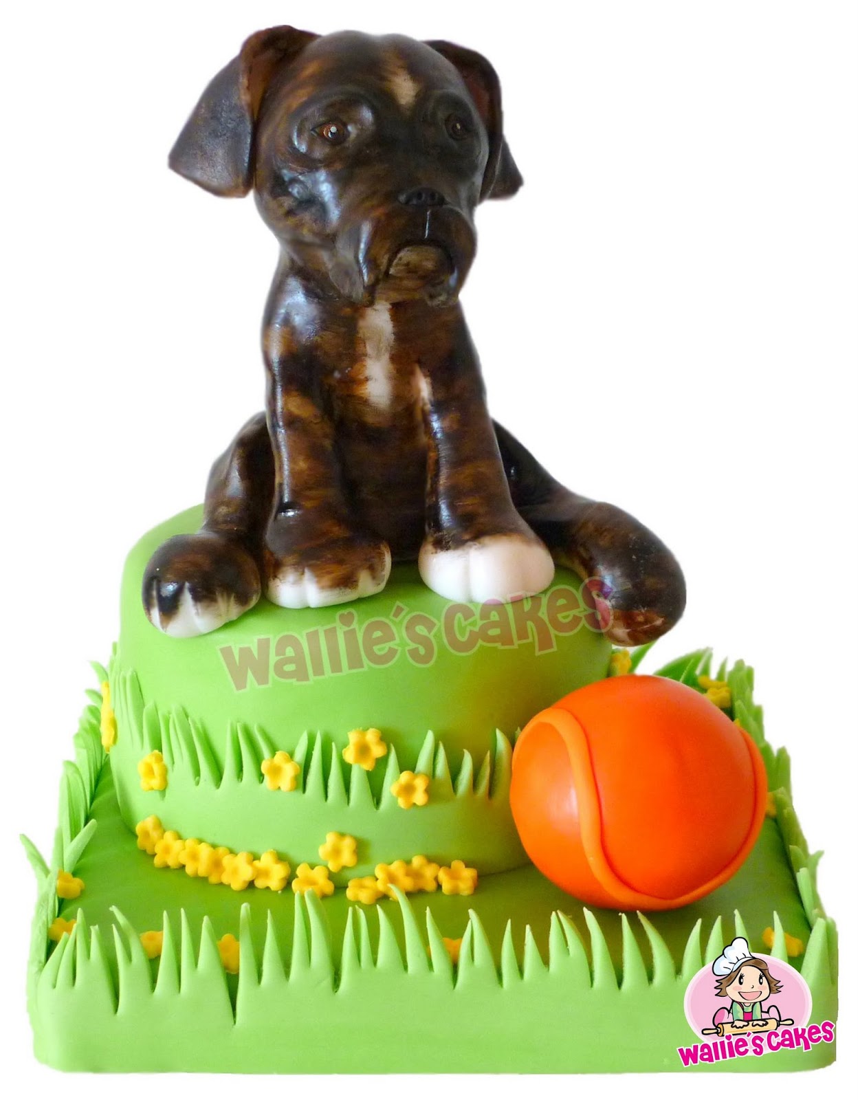 Boxer cake da Vaniglia Zenzero e Cannella su Akkiapparicette