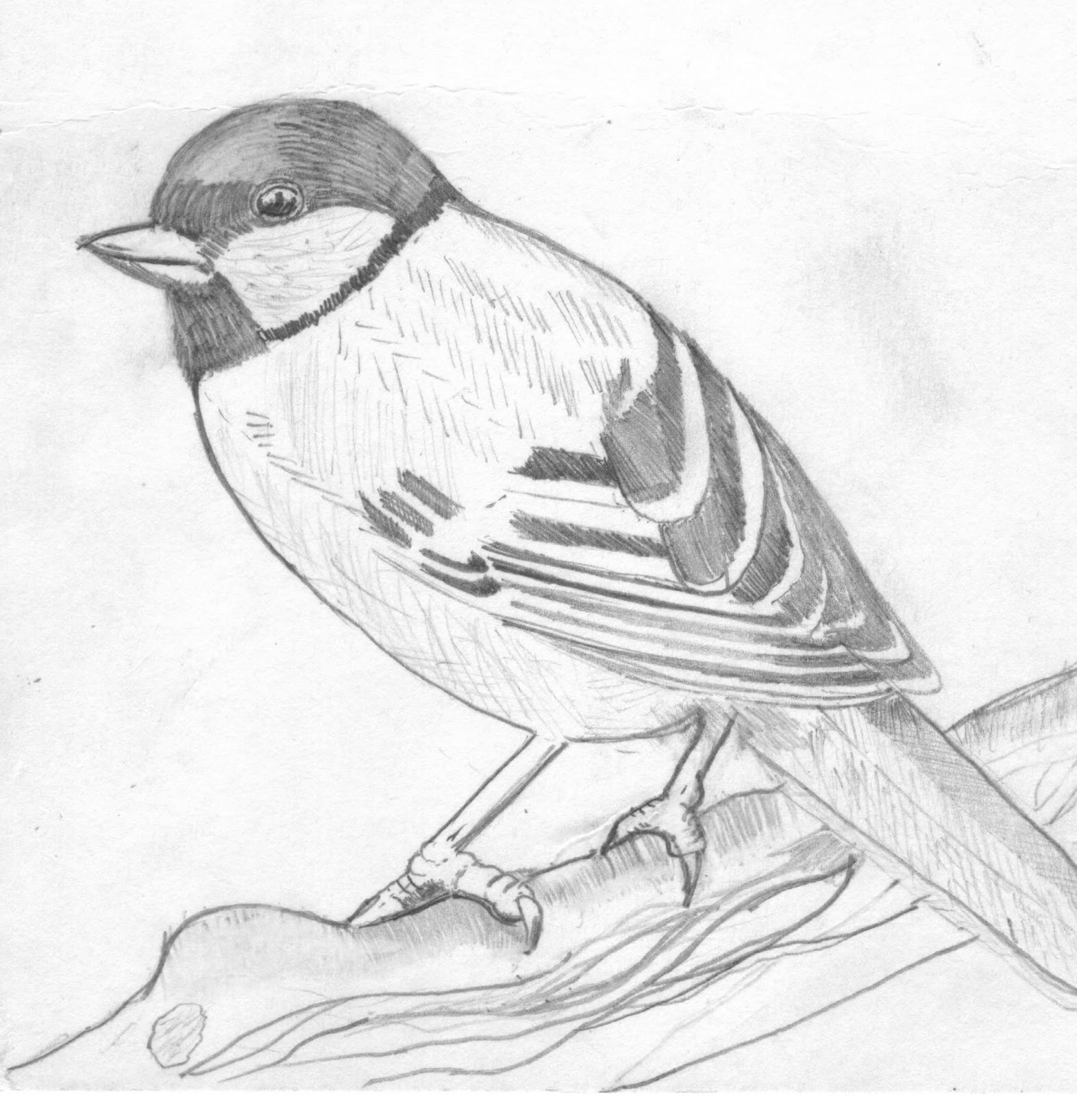 dibujo a lapicero, dibujo a boligrafo, draw, sketch, sketching, dibujo ...