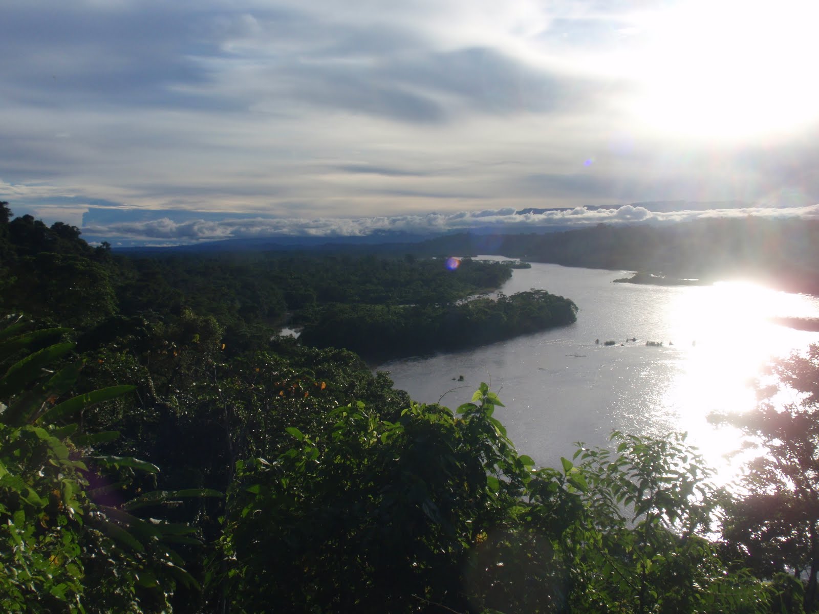 Study Abroad in Ecuador: Yachana, Amazon