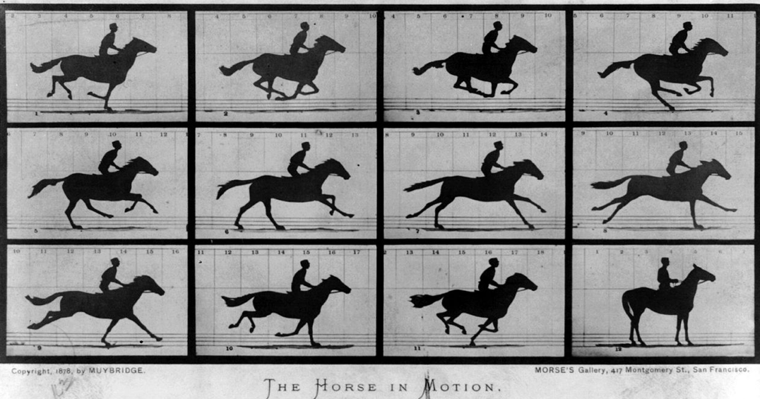 Animation Blog: How To Use Live Action Reference To Create Great Animation