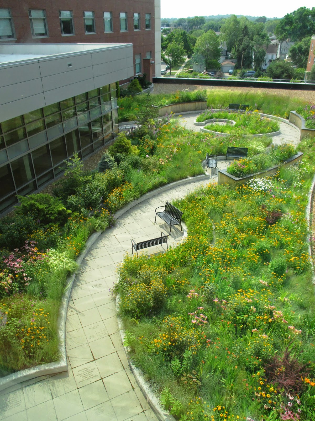 Rotary Botanical Gardens - Hort Blog: Cool Rooftop Garden